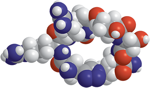 Download Peptide - Full Size PNG Image - PNGkit