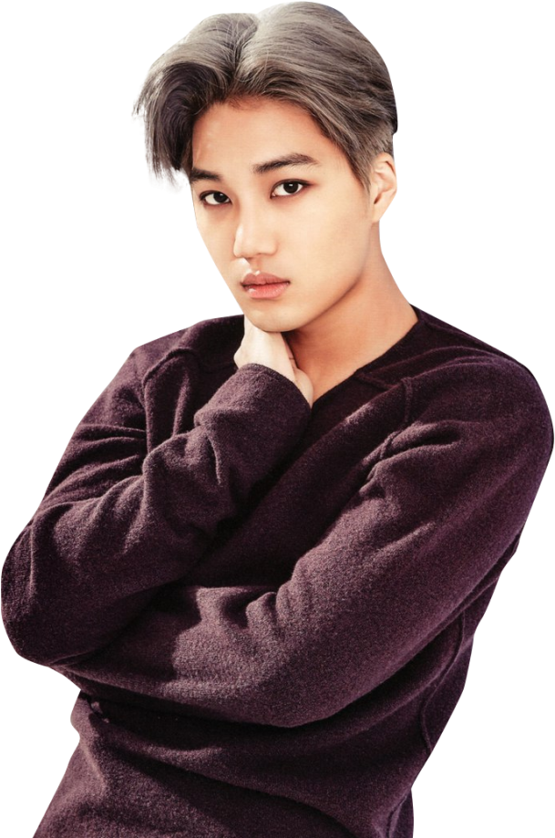 Download Kim Jongin 2017 - Full Size PNG Image - PNGkit
