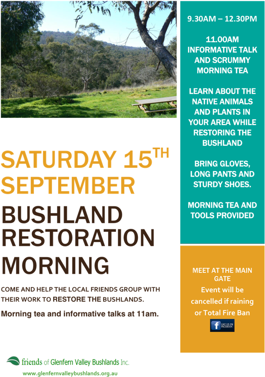 Download Gvb 2018 09 Working Bee Flyer - Flyer - Full Size PNG Image ...