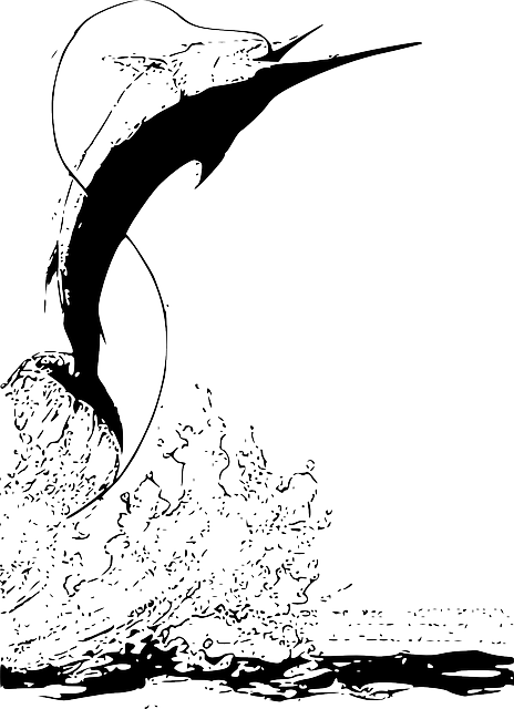 Download Water, Fight, Fish, Splash, Jumping, Fishing, Swordfish - Fish ...