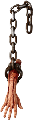 Download Hanging Bloody Arm - Forum Novelties Bloody Hanging Prop Arm ...