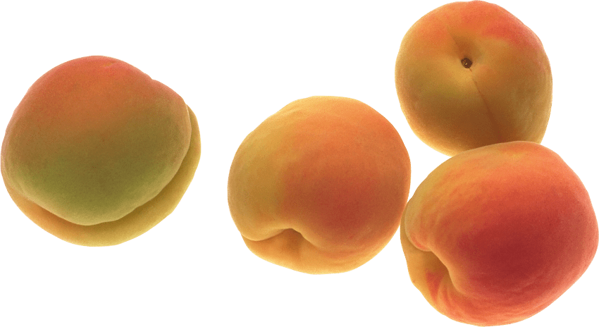 Download Free Png Peaches Png Images Transparent - Peach - Full Size ...