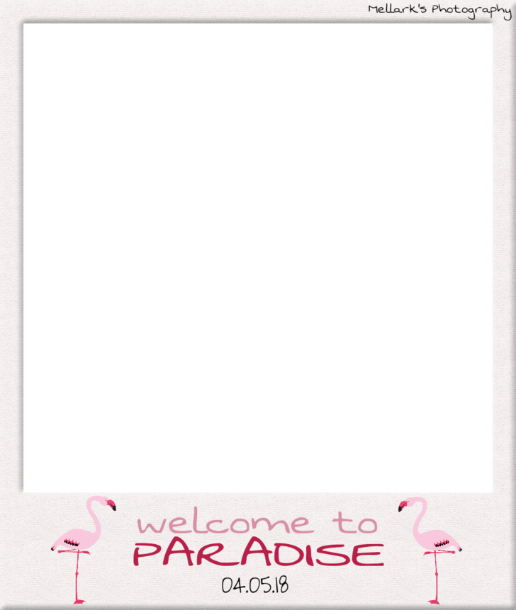 Download Wtp Polaroids Png - Handwriting - Full Size PNG Image - PNGkit