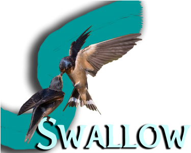 Download Swallow Media - Tenacious D - Full Size PNG Image - PNGkit