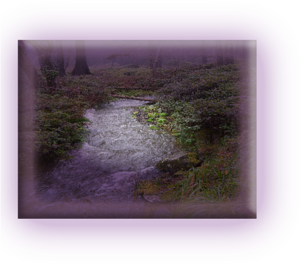 Download Picture Frame - Full Size PNG Image - PNGkit