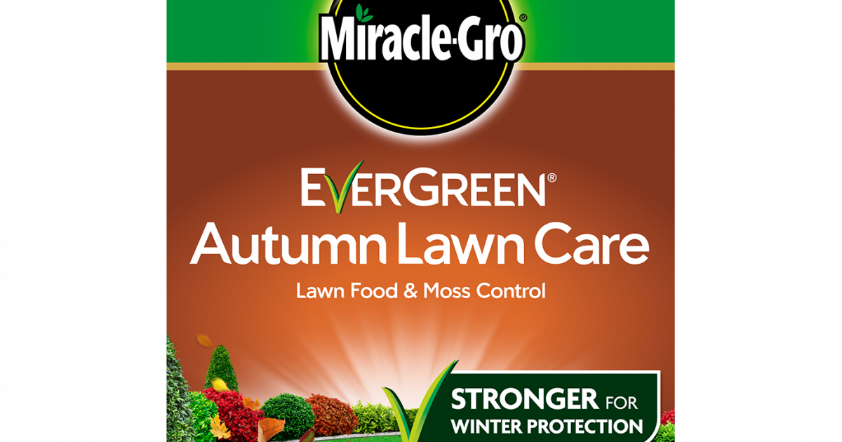 Download Miracle-gro® Evergreen® Autumn Lawn Care - Flyer - Full Size ...