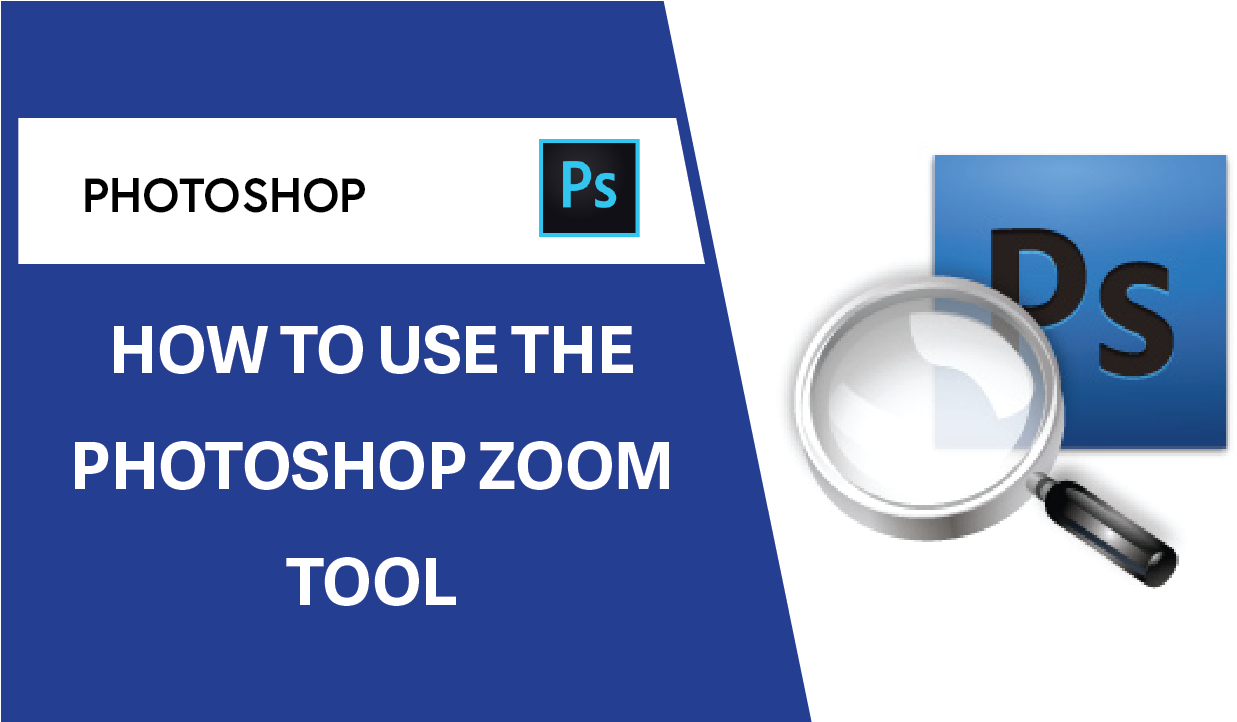 Download Learn How To - Sign - Full Size PNG Image - PNGkit