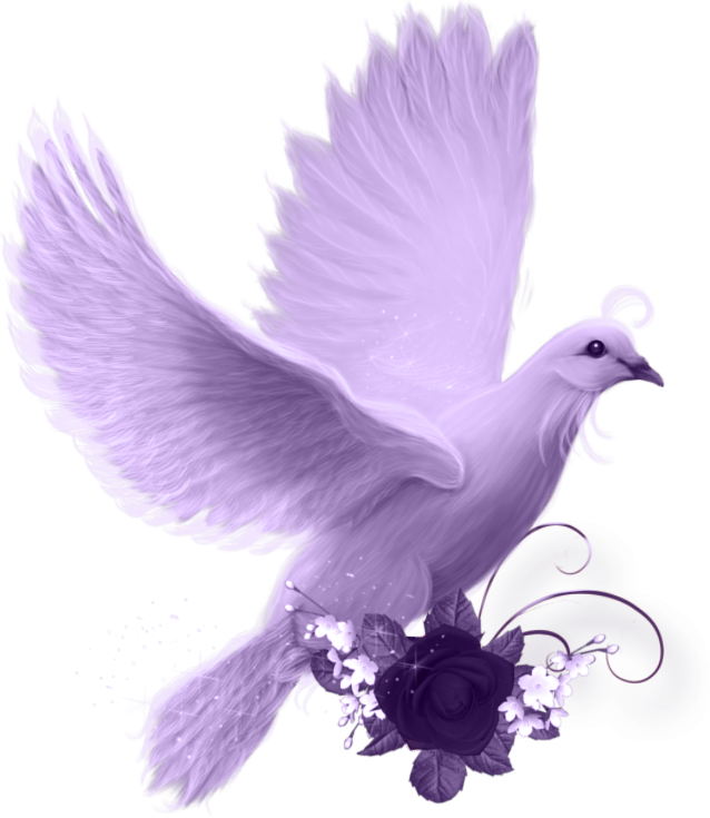 Download Paloma Png - Imagui - Tubes Png Condoléances Colombe - Full ...