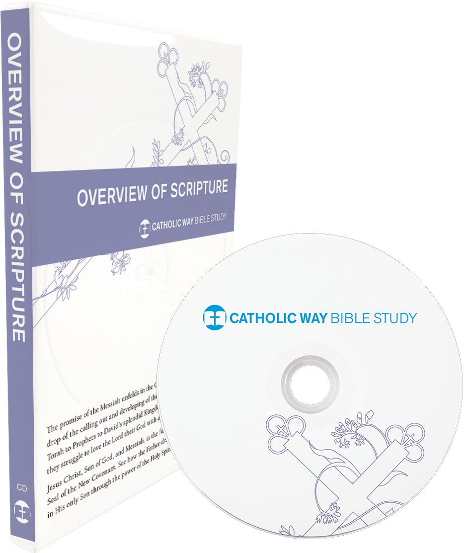 Download Cd - Full Size PNG Image - PNGkit