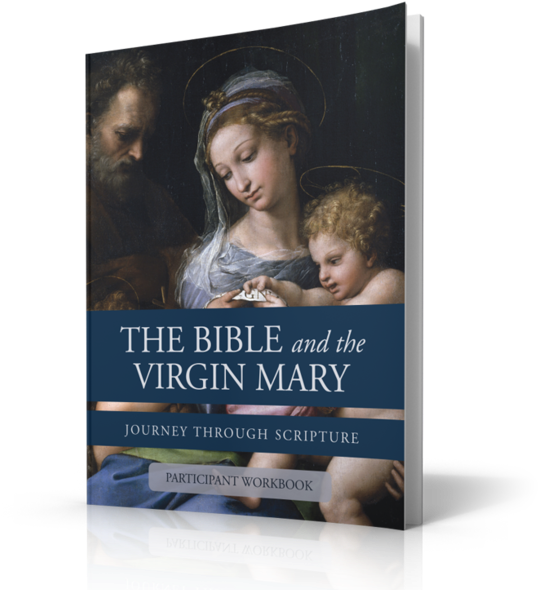 Download Transparent The Bible And The Virgin Mary Participant Workbook ...