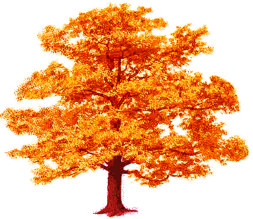 Download Tree Fall - Strong Is Your Faith - Full Size PNG Image - PNGkit