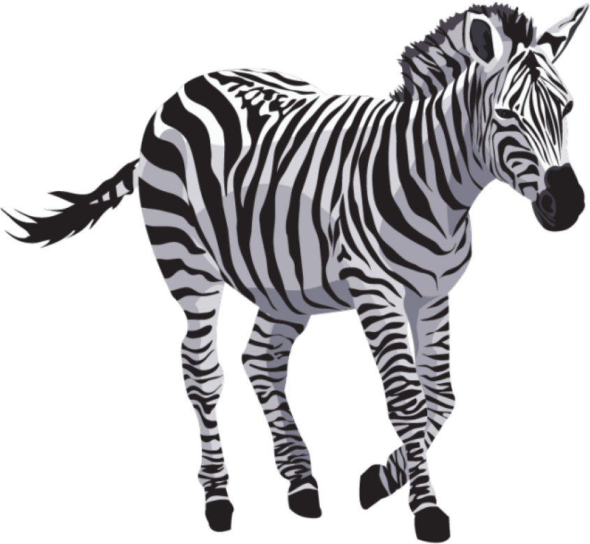 Download Free Png Zebra Png Images Transparent Jk Max A4 Paper Full download-free-png-zebra-png-images-transparent-jk-max-a4-paper-full