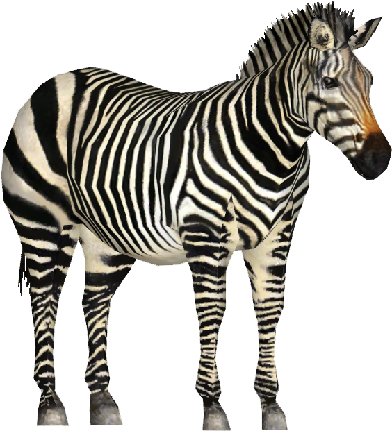 Download Zebrahartmans Tamara Henson - Zoo Tycoon Zebra Png - Full Size ...