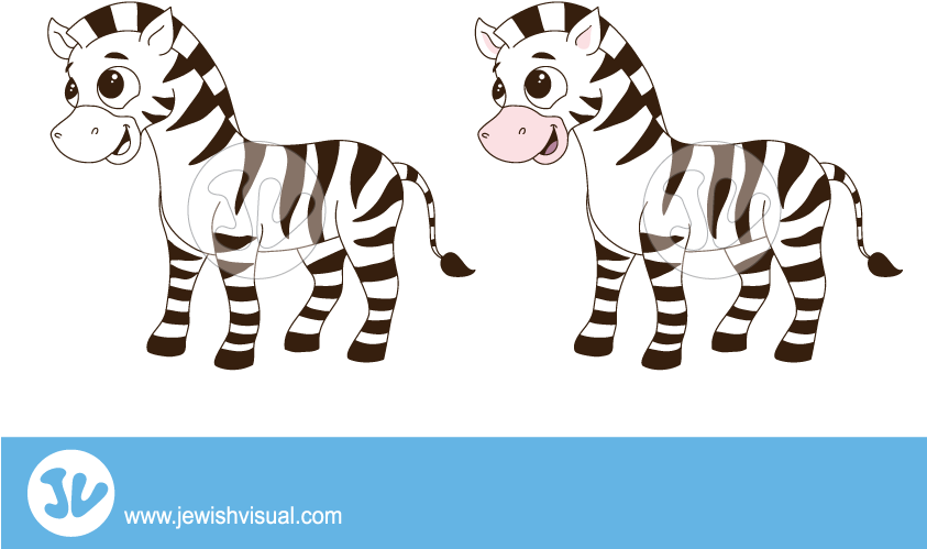 Download Zebra Vector Png - ציור של זברה - Full Size PNG Image - PNGkit