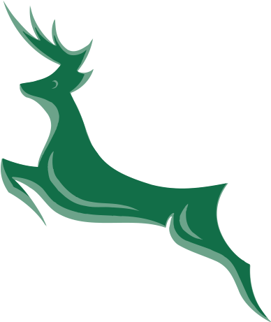 Download Cricket Clipart Baller - Nottinghamshire County Cricket Club ...