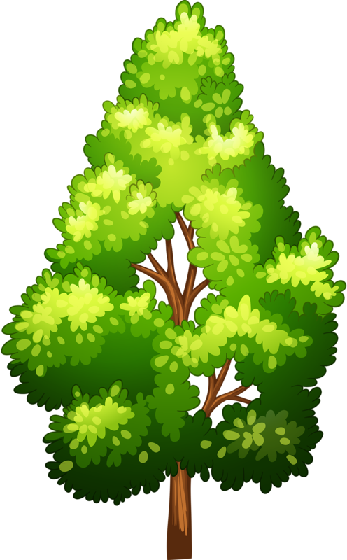 Download Clipart Tree Science - Tree - Full Size PNG Image - PNGkit