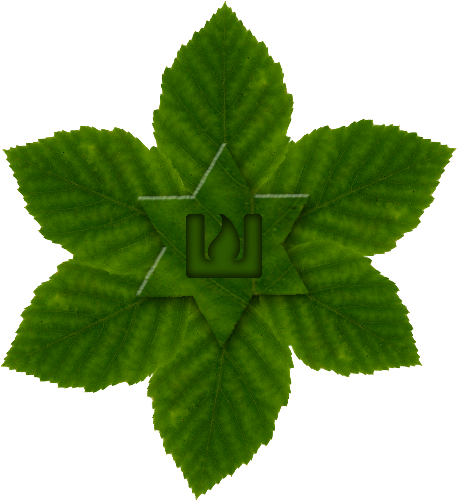 Download Leaves - Hemp Family - Full Size PNG Image - PNGkit