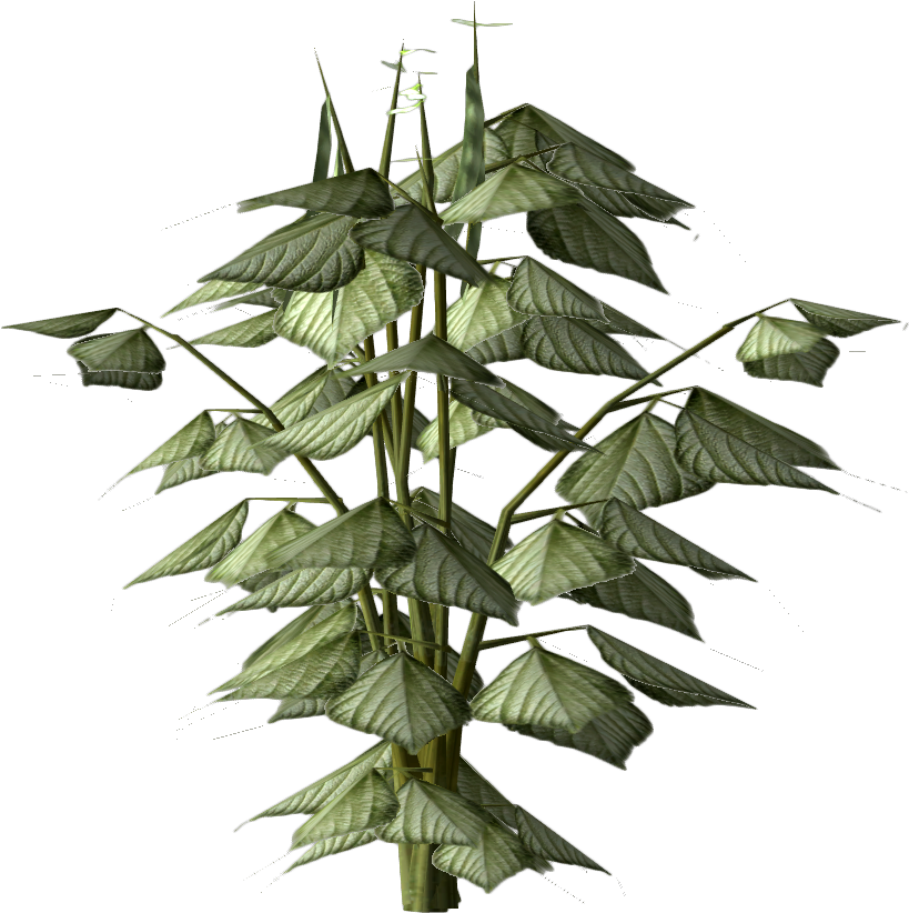 Download Pinto Bean Plant - Video Game - Full Size PNG Image - PNGkit