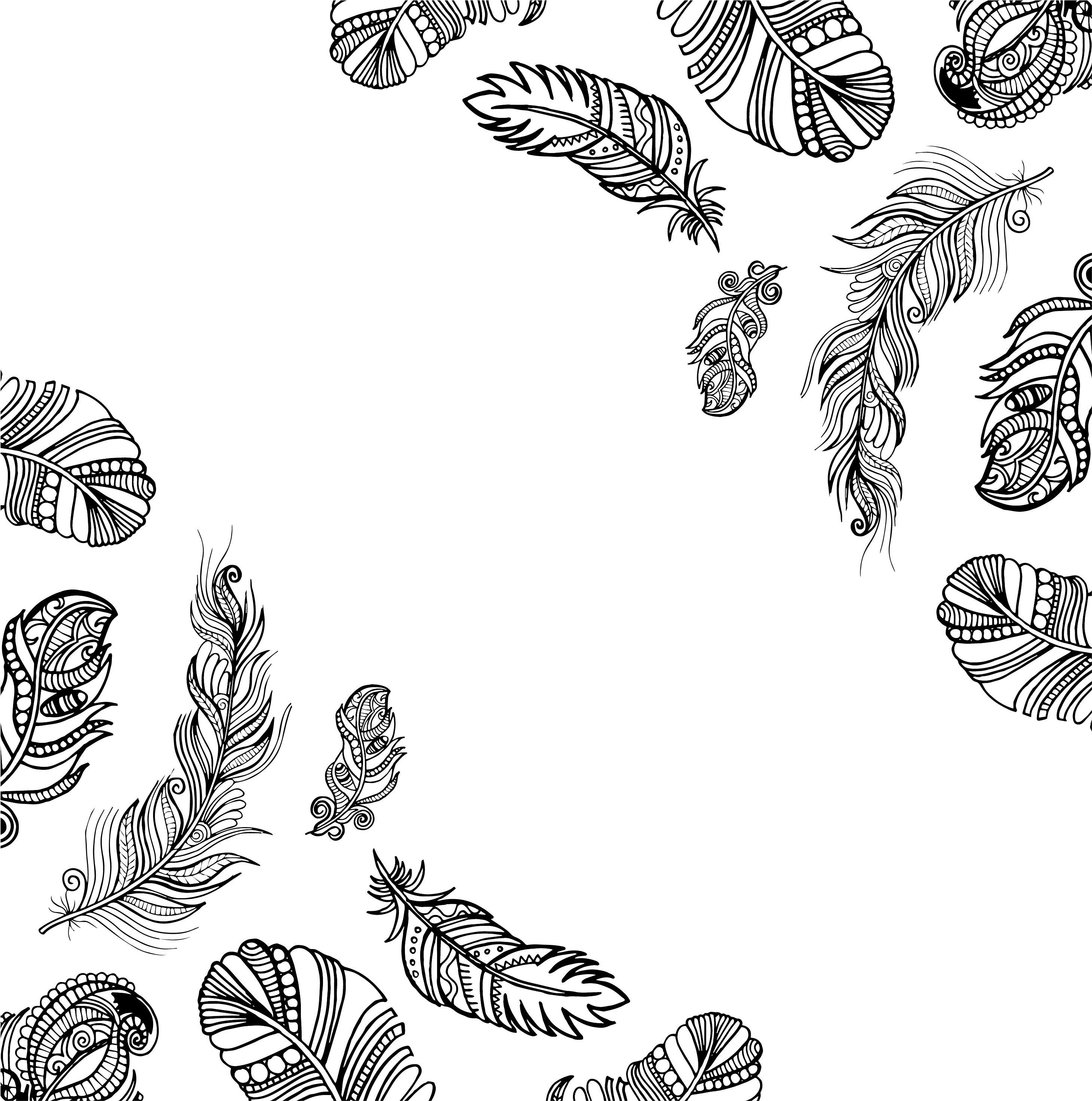 Download Black And White Feather - Black And White Feather Border ...