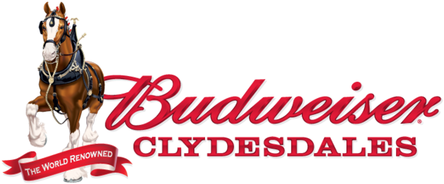 Download Budweiser Clydesdales Coming To Fort Myers - Budweiser ...