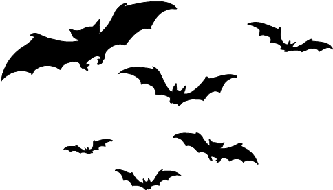 Download Transparent Bat Silhouette Png Pic - Bats Png - PNGkit