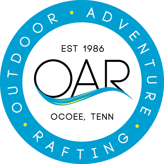 Download Logo - Full Size PNG Image - PNGkit