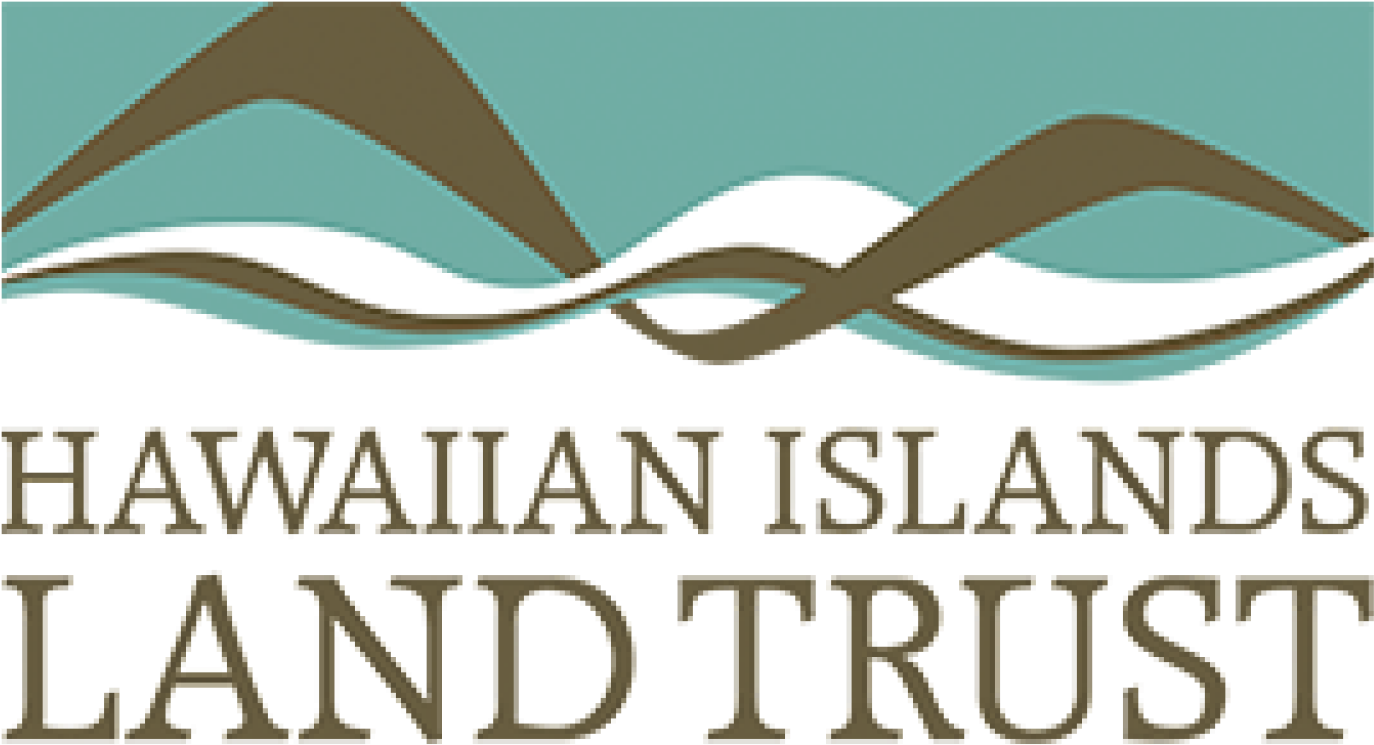 Download Calligraphy - Full Size PNG Image - PNGkit