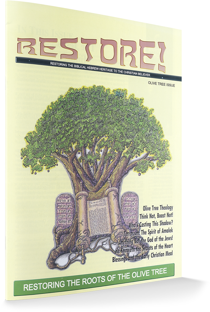 Download The Olive Tree Is A Symbol Of God's Family Tree Of - Oak ...