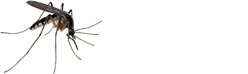 Download Mosquito Control - Mosquito Sucking Transparent Gif - Full ...