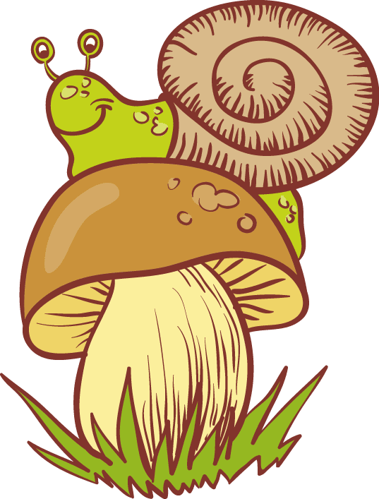 Download Snails And Mushrooms - Snail - Full Size PNG Image - PNGkit