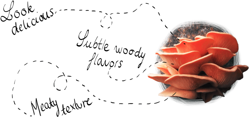 Download Tasty - Portable Network Graphics - Full Size PNG Image - PNGkit