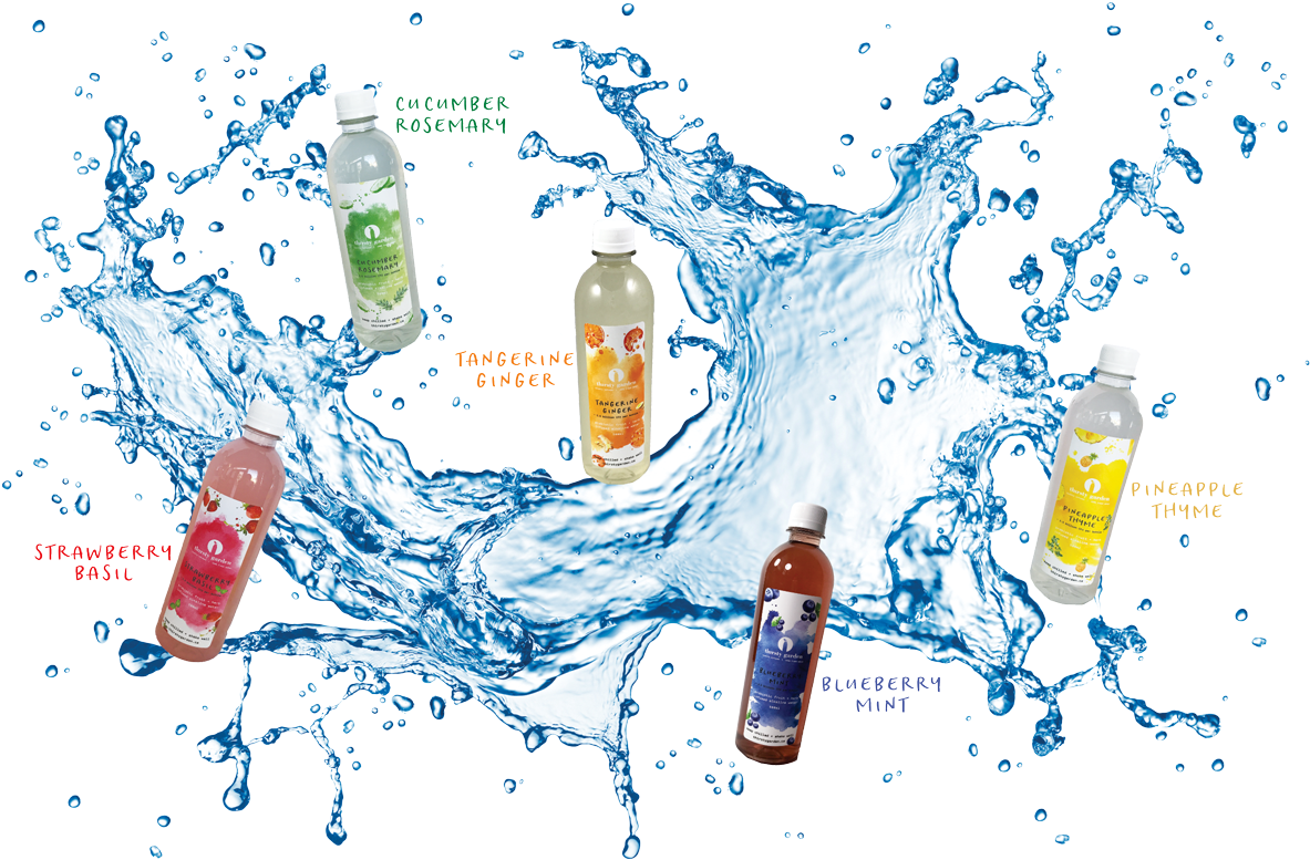 Download Aiding In Efficient Digestion And Absorption Of Nutrients ...