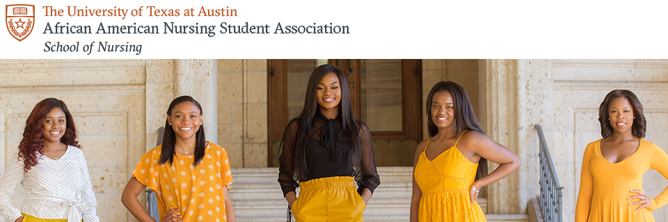 Download African American Nursing Students Association The University ...