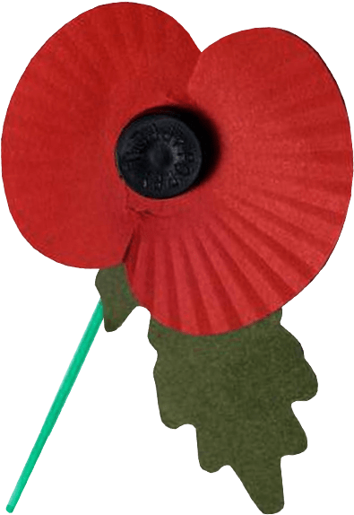 Download Remembrance Day Poppy Transparent Image - Remembrance Poppy ...