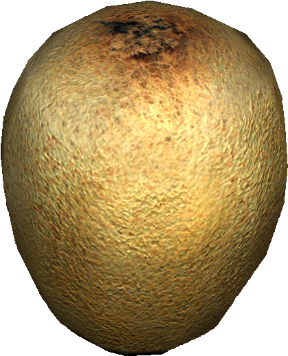 Download Kiwi - Wiki - Full Size PNG Image - PNGkit