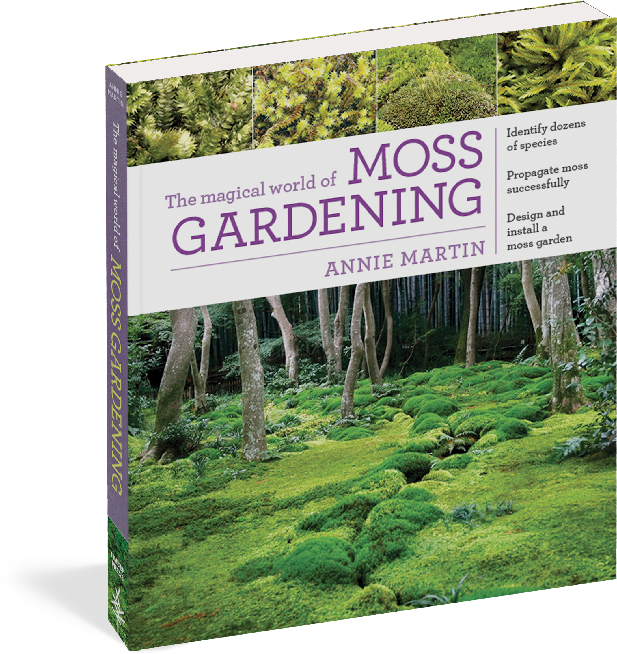 Download Cover - Magical World Of Moss Gardening [book] - Full Size PNG ...