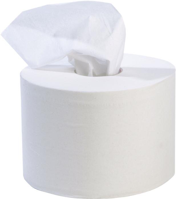 Download Roll Of Toilet Paper Png - Toilet Paper - Full Size PNG Image ...