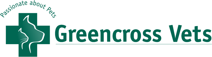 Download As The Largest Provider Of High Quality Veterinary ...