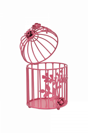 Download Pink Bird Cage - Birdcage - Full Size PNG Image - PNGkit