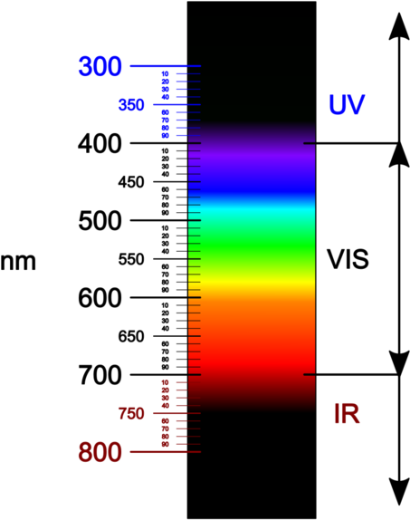 Download Visible Light Spectrum - Electromagnetic Spectrum - Full Size ...