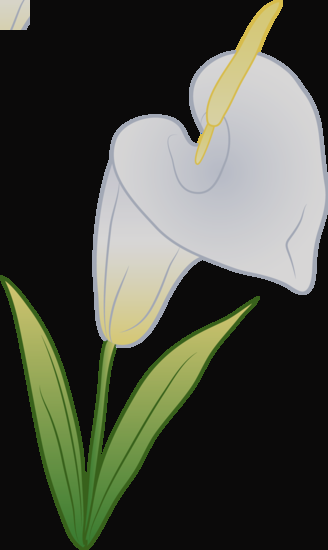 Download Clip Art - Full Size PNG Image - PNGkit