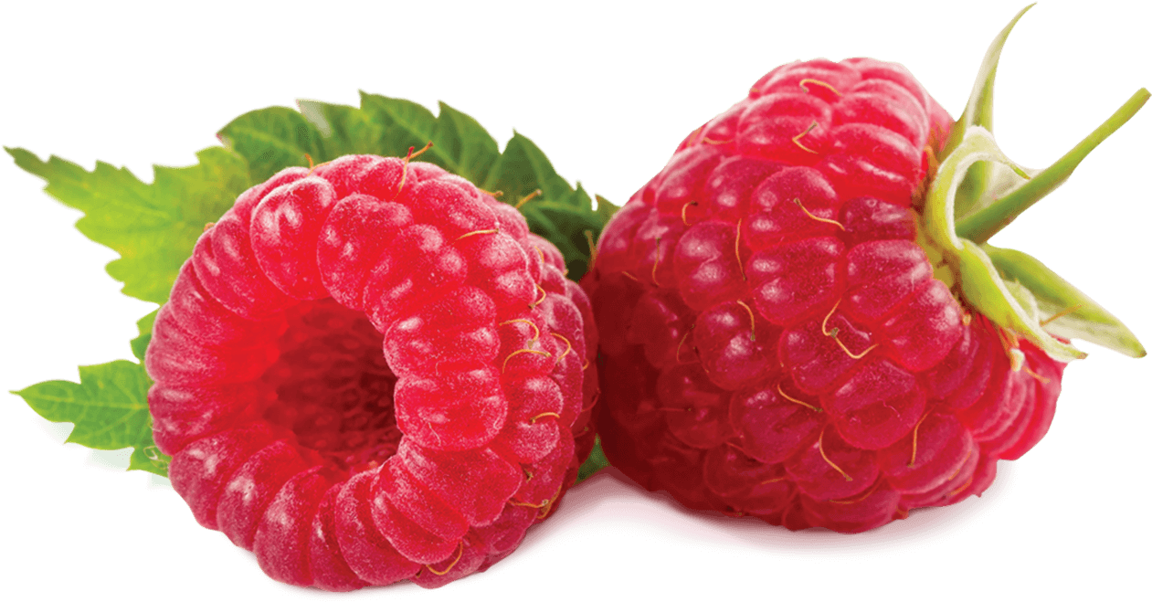 Download Raspberry - Beneficios De La Mora - Full Size PNG Image - PNGkit