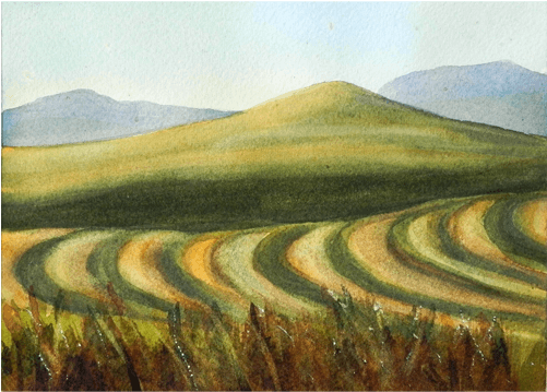 Download Field Pattern - Field - Full Size PNG Image - PNGkit