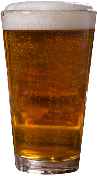 Download Pint Of Beer - Lager - Full Size PNG Image - PNGkit