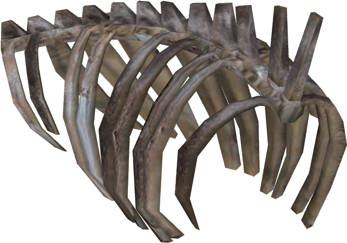 Download Ribcage - Skeleton - Full Size PNG Image - PNGkit
