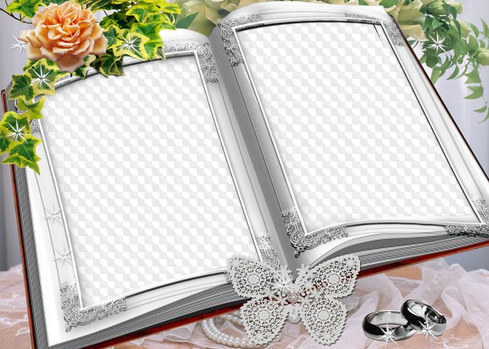 Download Wedding Photo Frame Png - Transparent Frame Wedding Png - Full ...