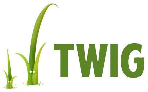 Download Twig Template - Full Size PNG Image - PNGkit