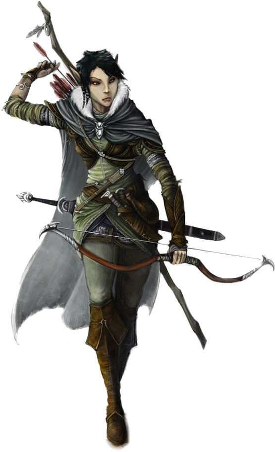 Download Dnd 5e Wood Elf - Full Size PNG Image - PNGkit