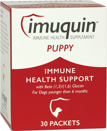 Download Imuquin™ Puppy - Dog - Full Size PNG Image - PNGkit