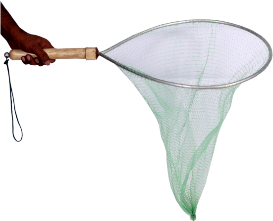 Download New Products - Net - Full Size PNG Image - PNGkit